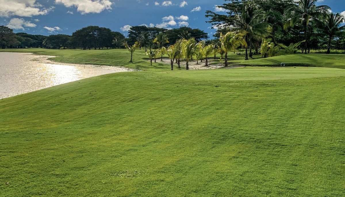 Golf Fam Trip Panama - Sales and Marketing Representation for golf ...